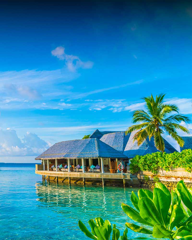 August-Edition-800×1000 | Atolls of Maldives